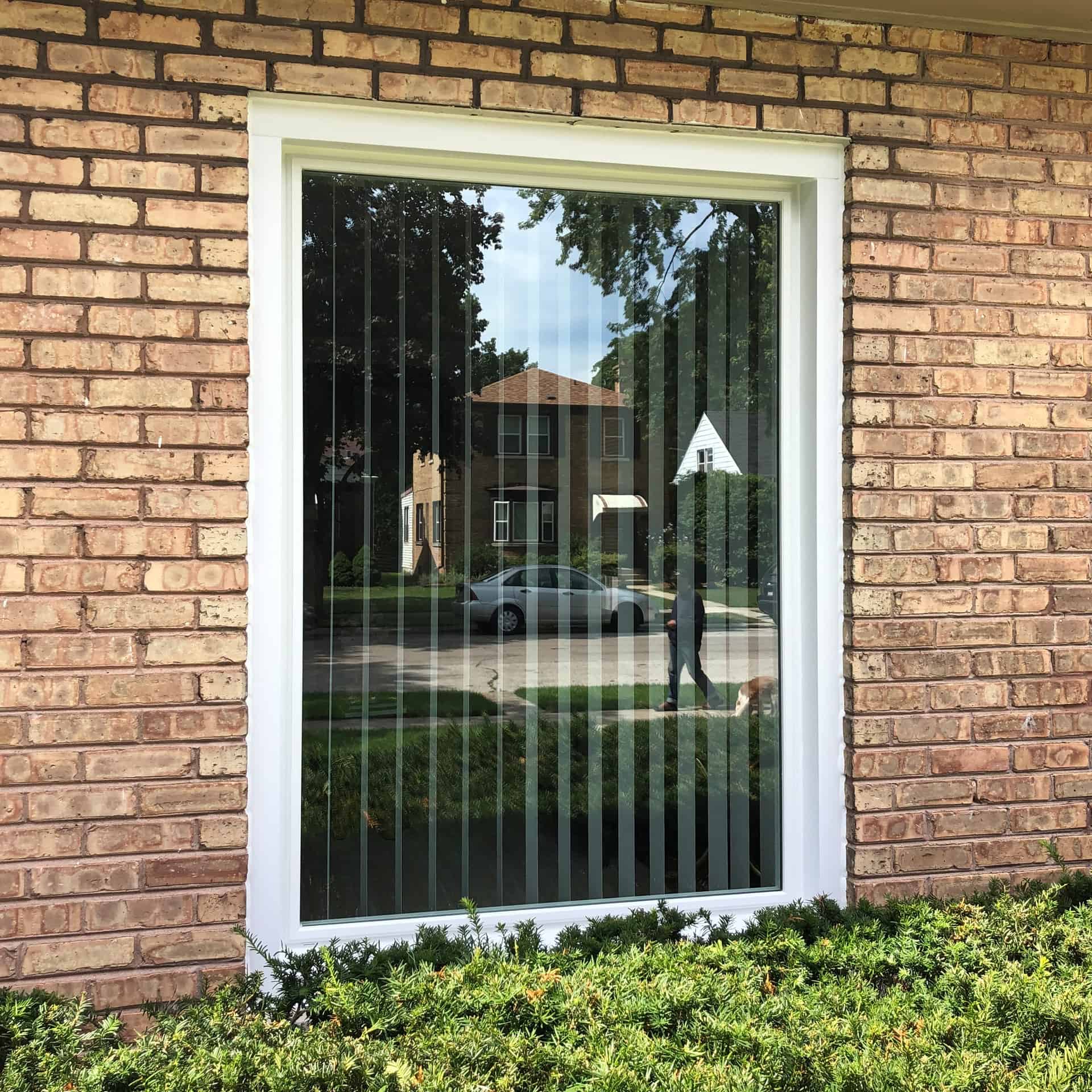 Windows // RemodelGo